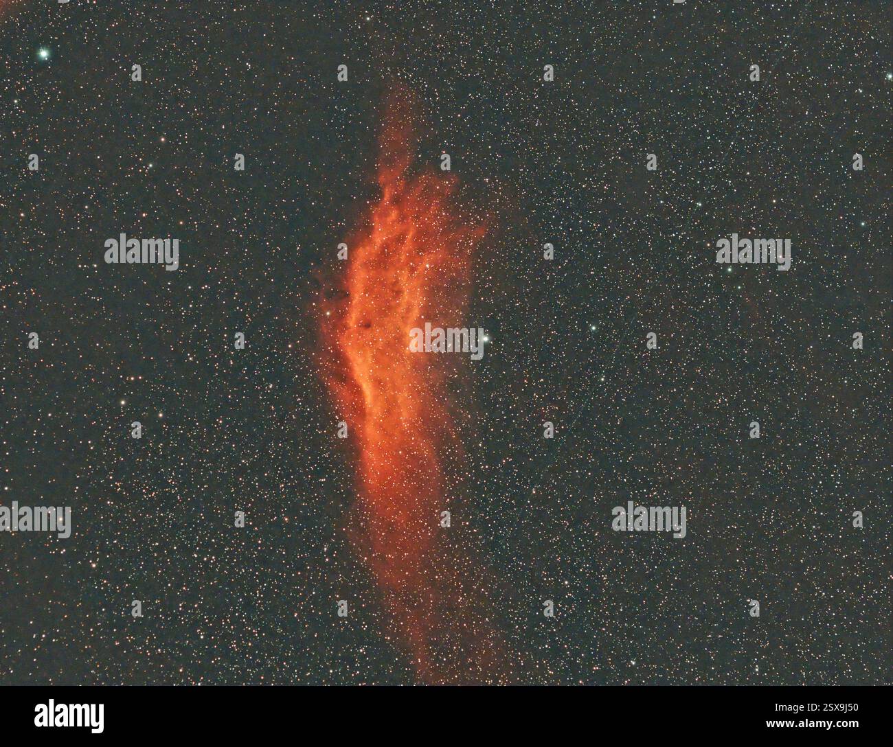 California Nebula (NGC 1499 or Sh2-220) emission nebula in the constellation Perseus, star maps ...