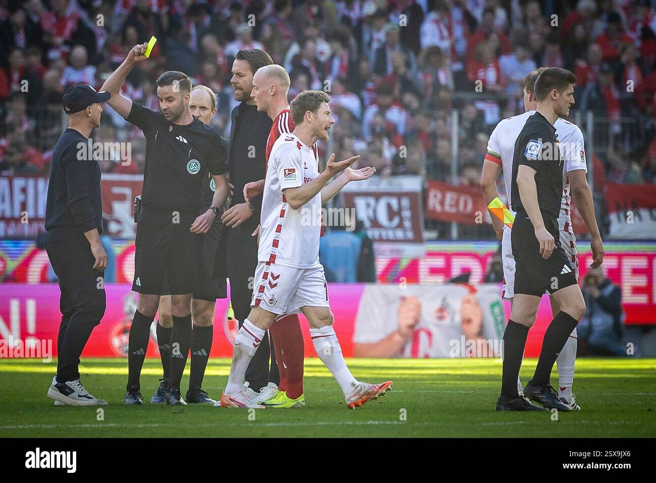 Gelbe Karte f?r Gerhard Struber (Trainer 1. FC K?ln) nach dem Spiel; K?ln, 23.02.2025 - 1. FC K ...