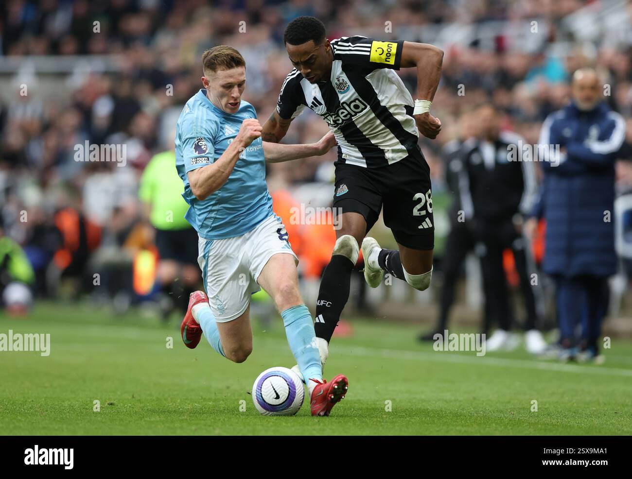Newcastle Upon Tyne, UK. 23rd Feb, 2025. Joe Willock (R) of Newcastle ...