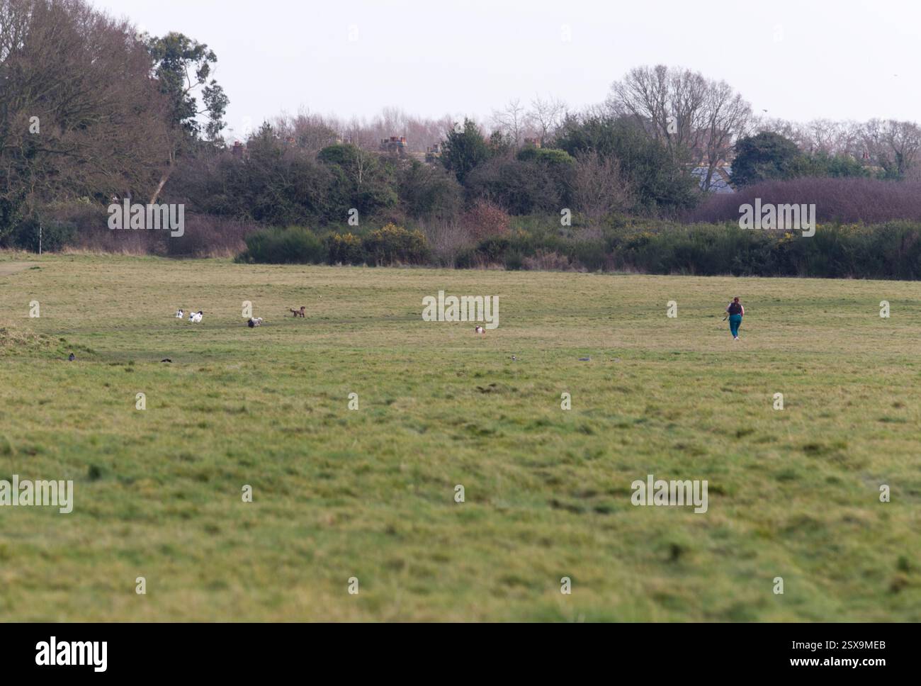 Middlewick Ranges in Colchester is a green space on the south side of ...
