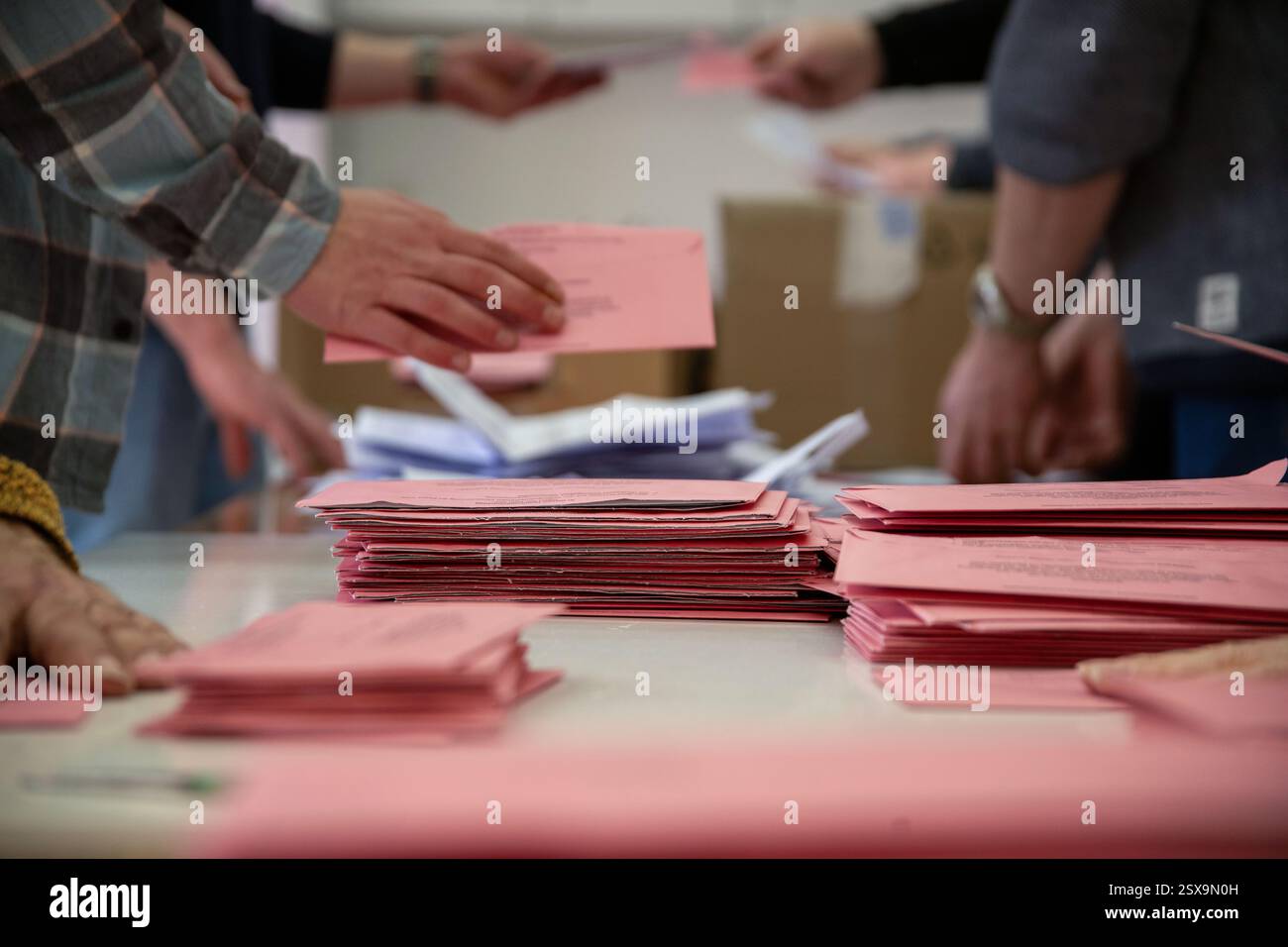 Untermerzbach, Germany. 23rd Feb, 2025. Already opened pink ballot ...