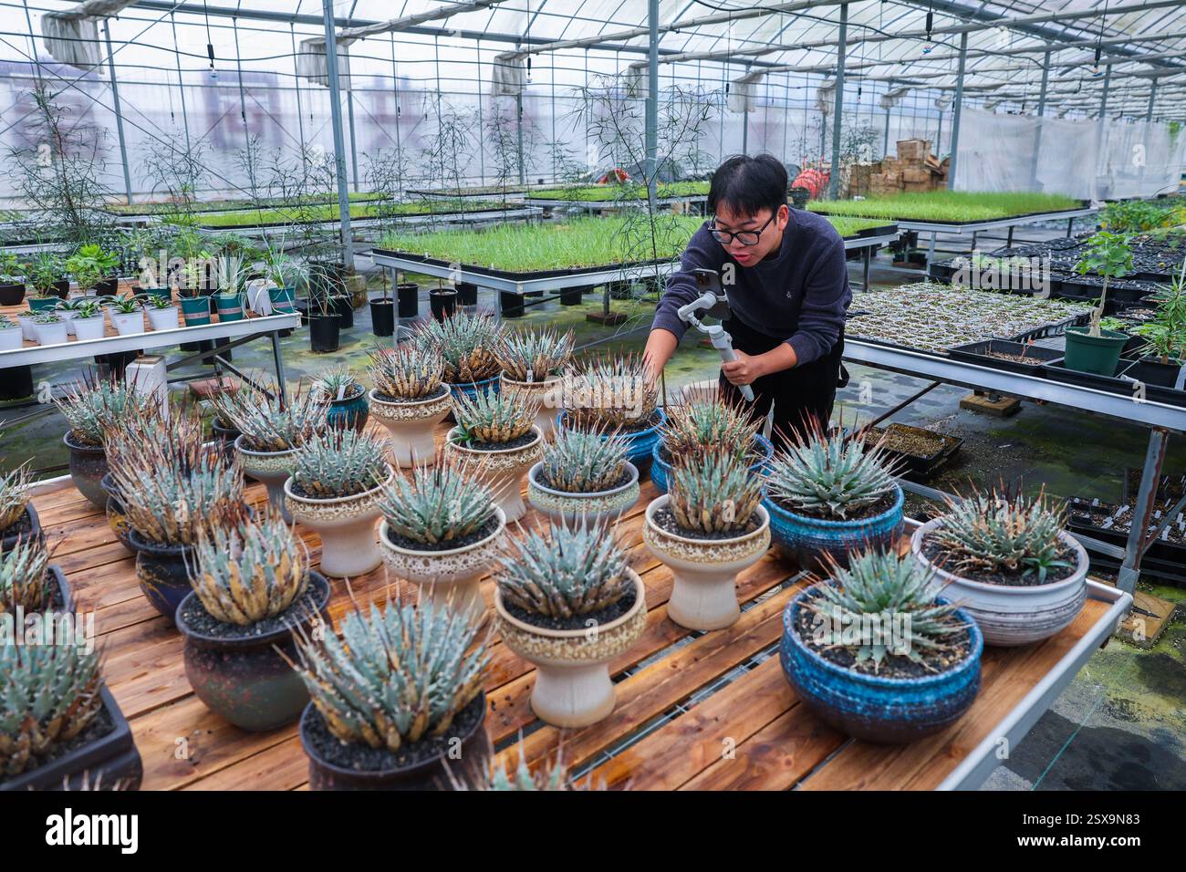 (250223) -- BEIJING, Feb. 23, 2025 (Xinhua) -- An agricultural entrepreneur sells potted plants ...