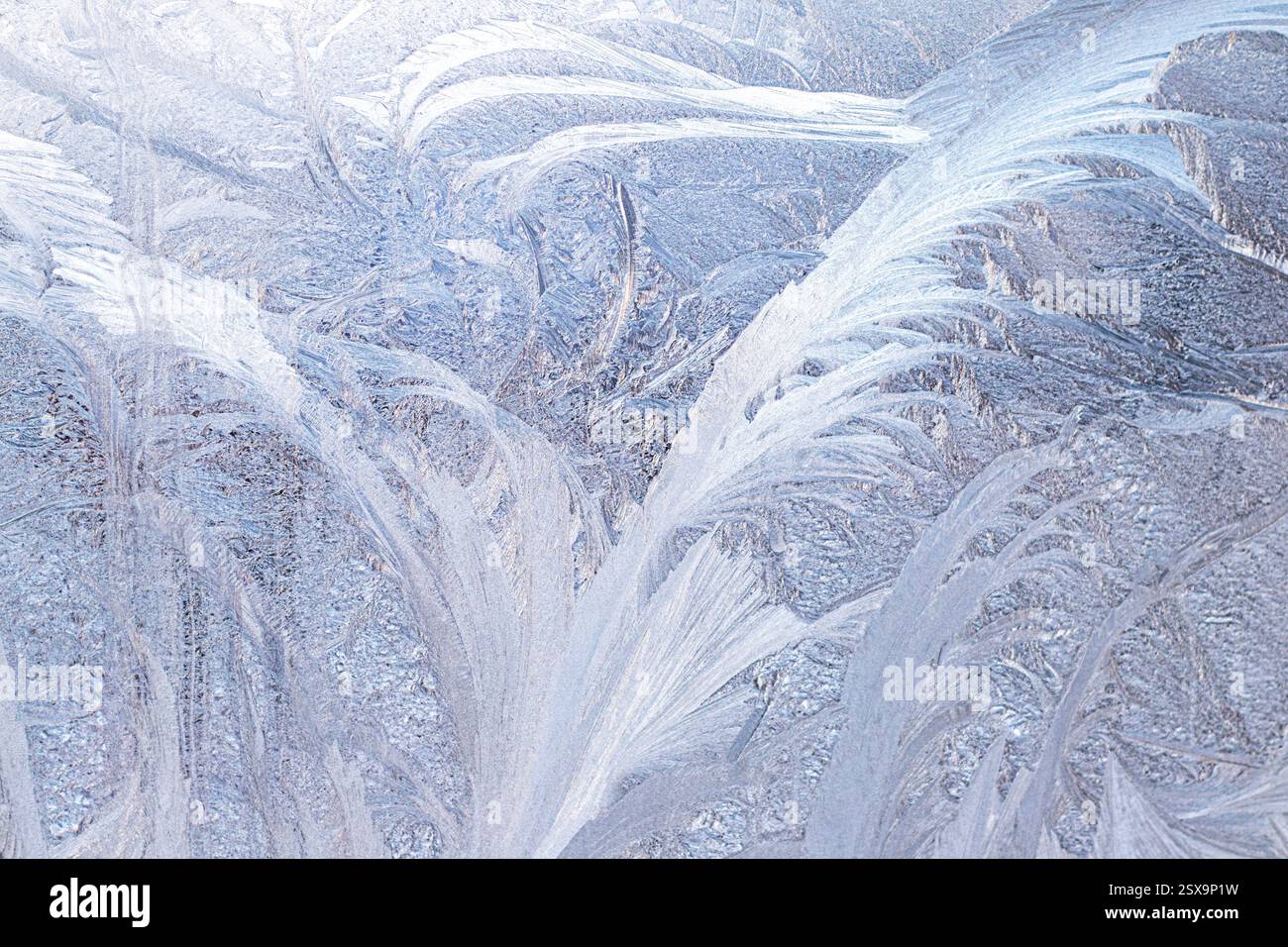 Frost designs on a window create natural ice patterns with winter ...