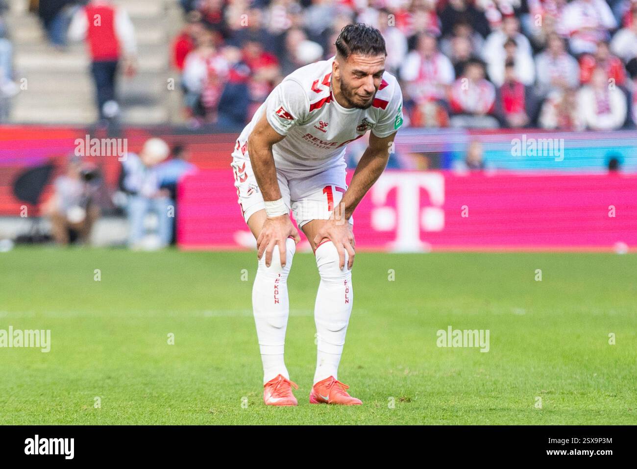 Leart Pacarada (1. FC K?ln, #17). 2. Fu?ball Bundesliga, 1. FC K?ln ...