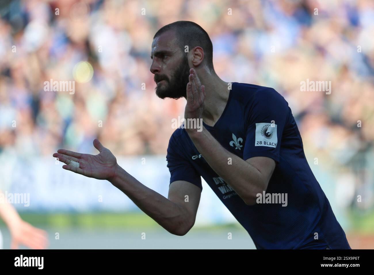 Darmstadt, Deutschland 23. Februar 2025: 2. Liga - 2024/2025 - SV Darmstadt 98 vs. FC Schalke 04 ...