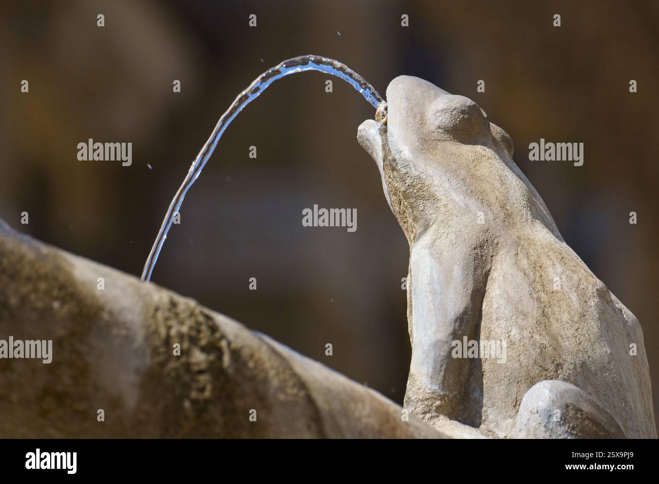 Detail of a Frog on the Fountain of the Frogs (Fontana delle Rane ...