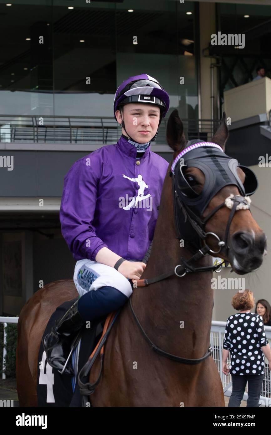 Mashadi horse hi-res stock photography and images - Alamy