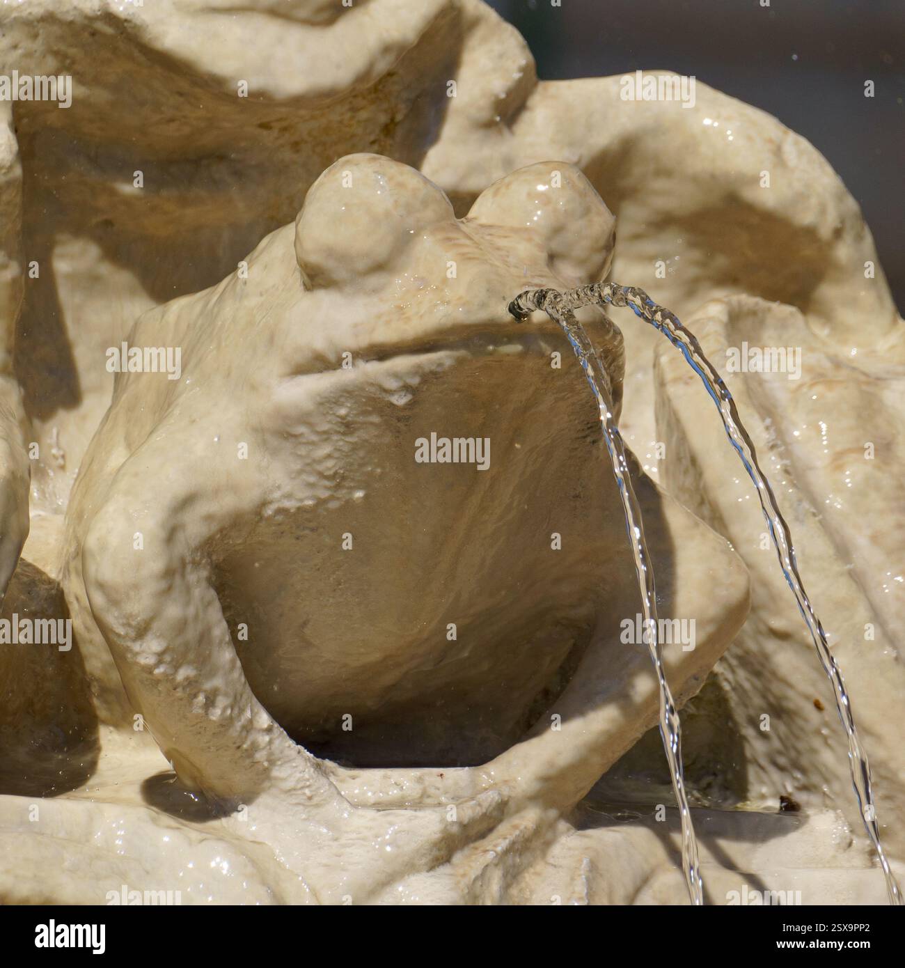 Detail of a Frog on the Fountain of the Frogs (Fontana delle Rane ...