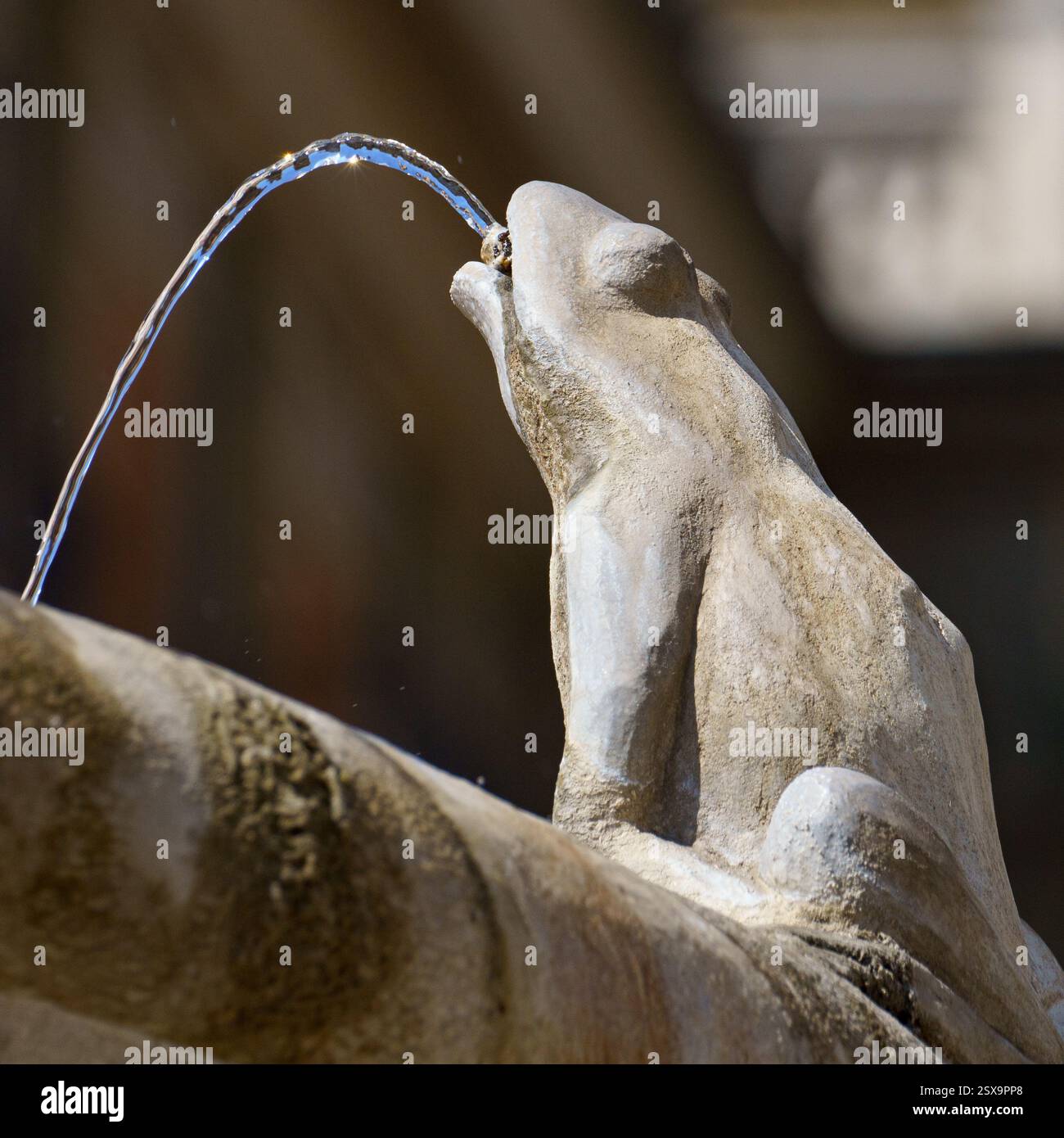 Detail of a Frog on the Fountain of the Frogs (Fontana delle Rane ...