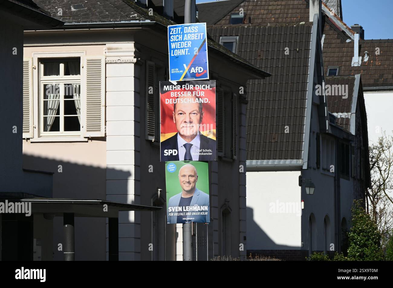 Wahlplakate von AFD, SPD, Grüne zur Bundestagswahl 2025 an einem ...