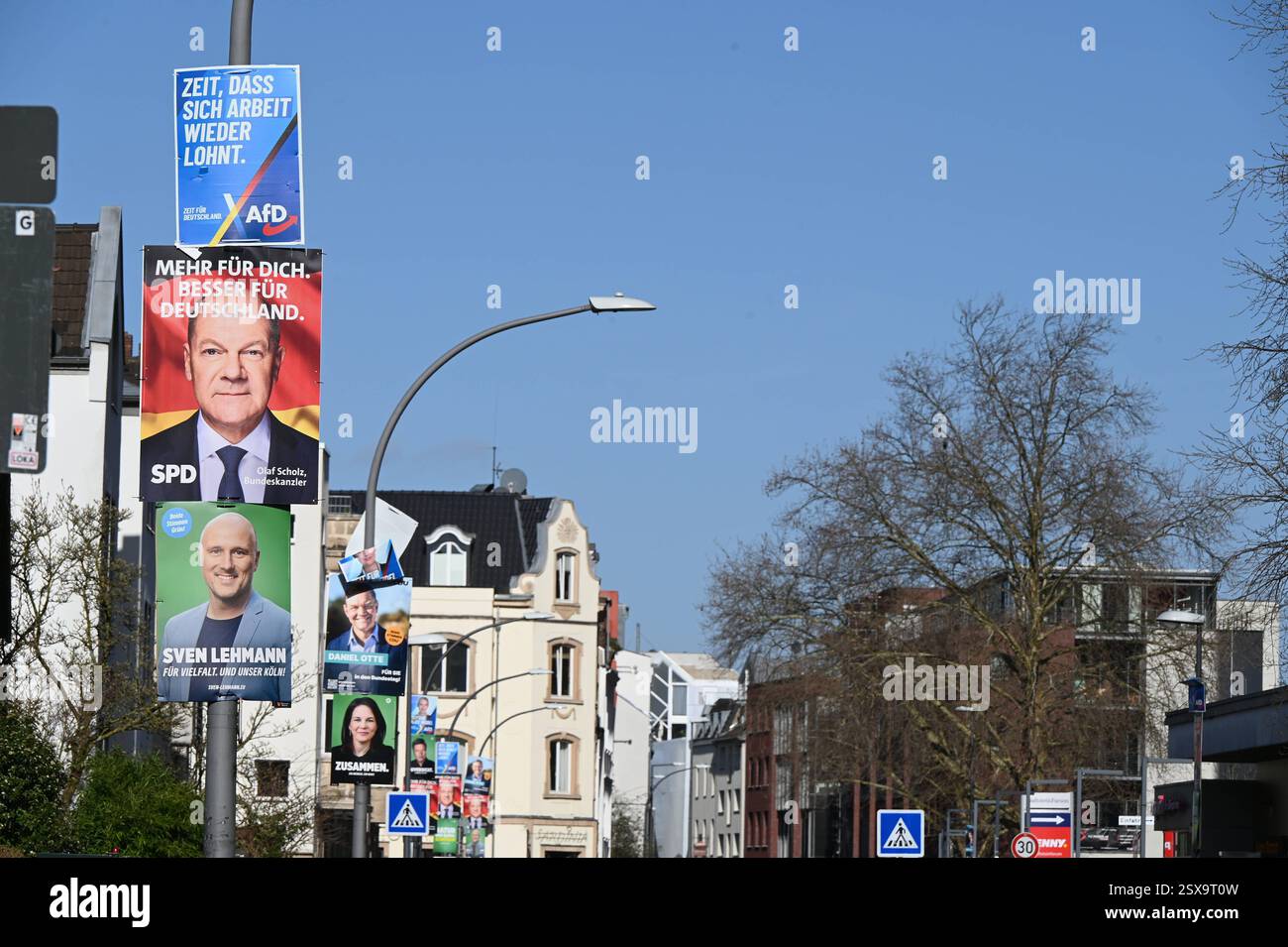 Wahlplakate von AFD, SPD, Grüne zur Bundestagswahl 2025 an einem ...