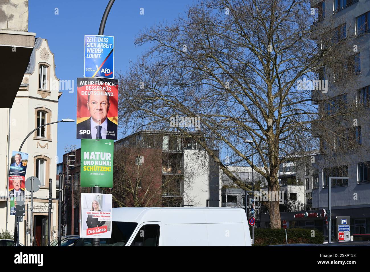 Wahlplakate von AFD, SPD, Grüne und Linke zur Bundestagswahl 2025 an ...