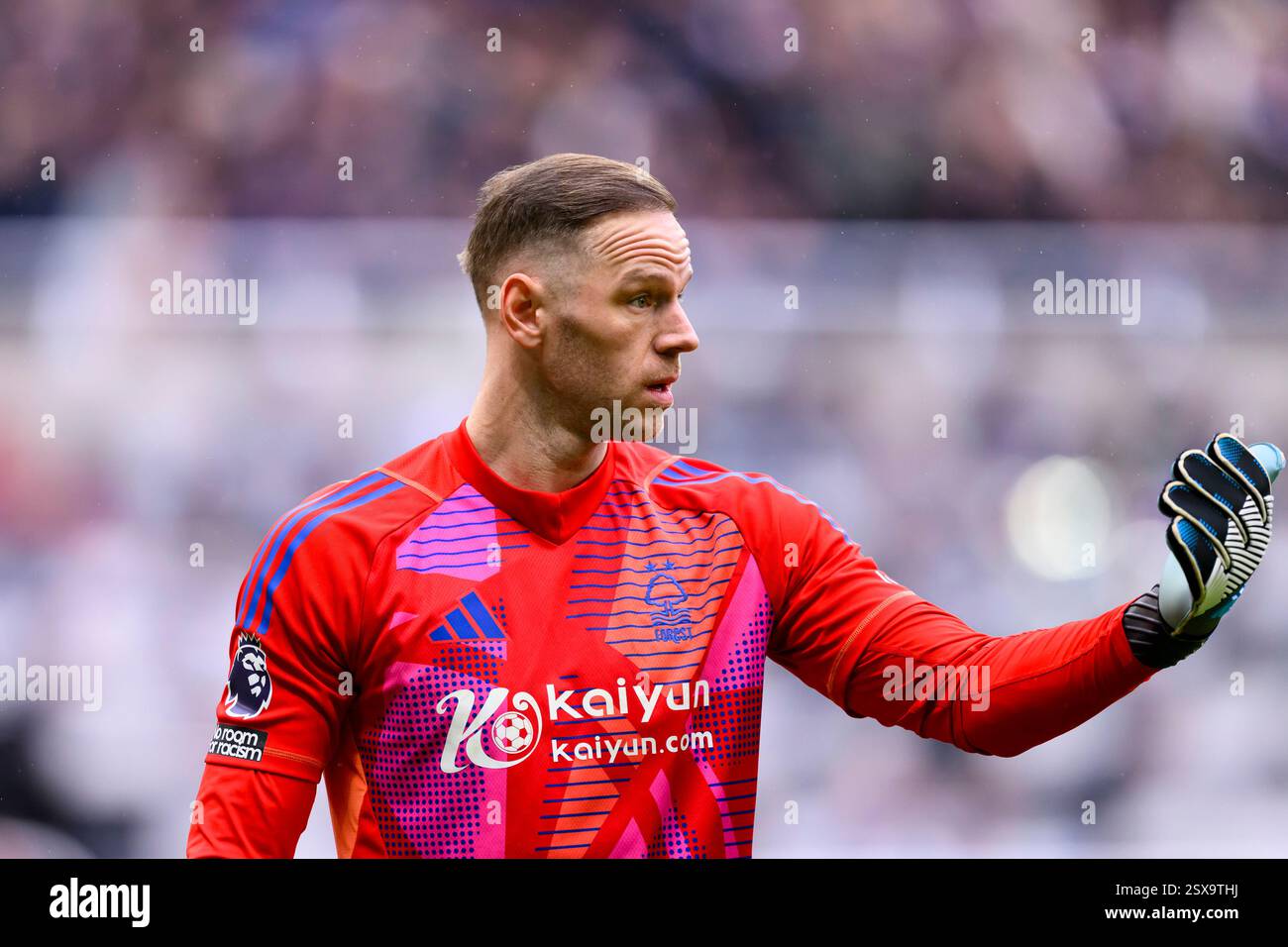 St. James' Park NEWCASTLE, ENGLAND - FEBRUARY 23: Goalkeeper Matz Sels ...