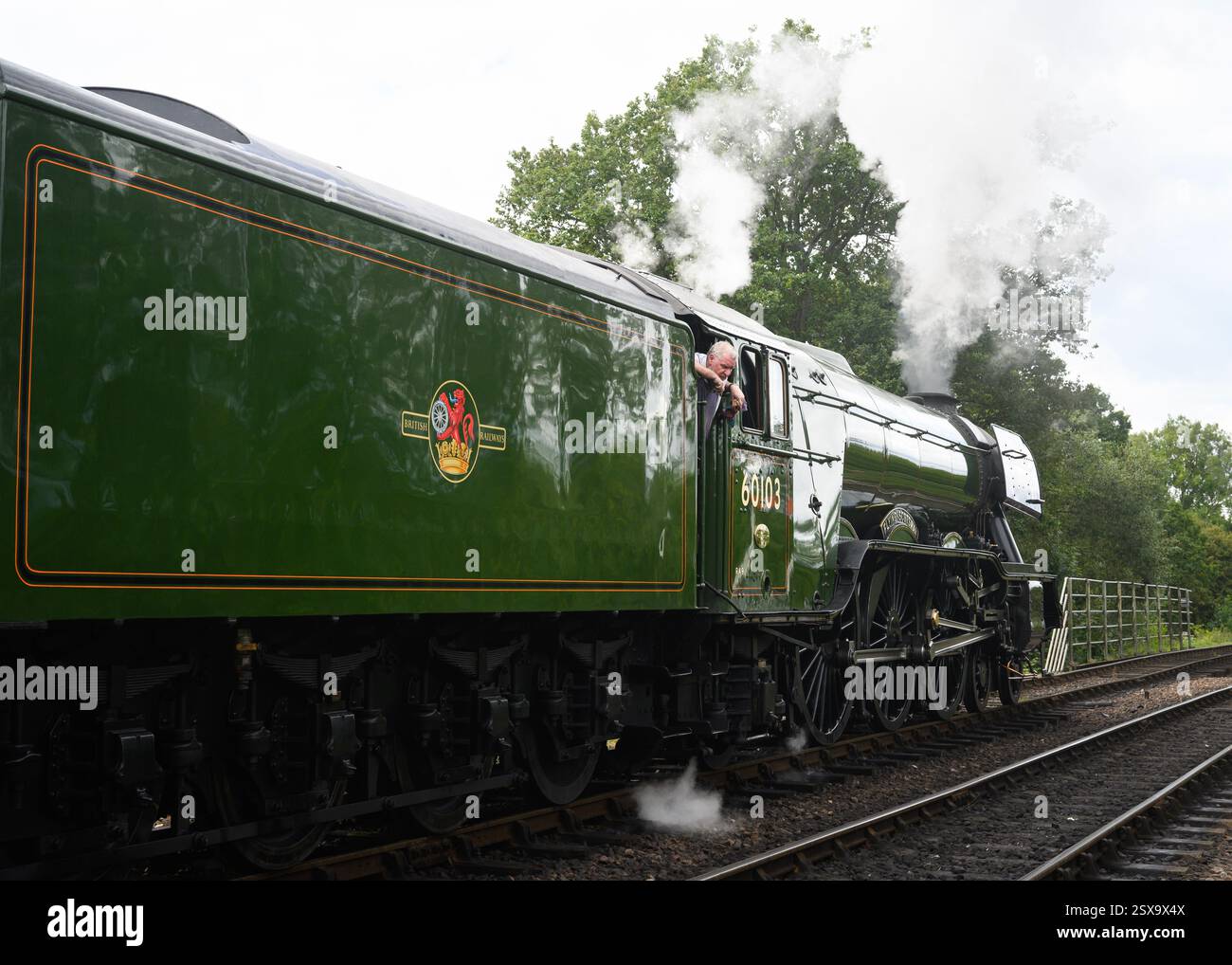 The Flying Scotsman on its centenary tour on the Bluebell line Stock ...