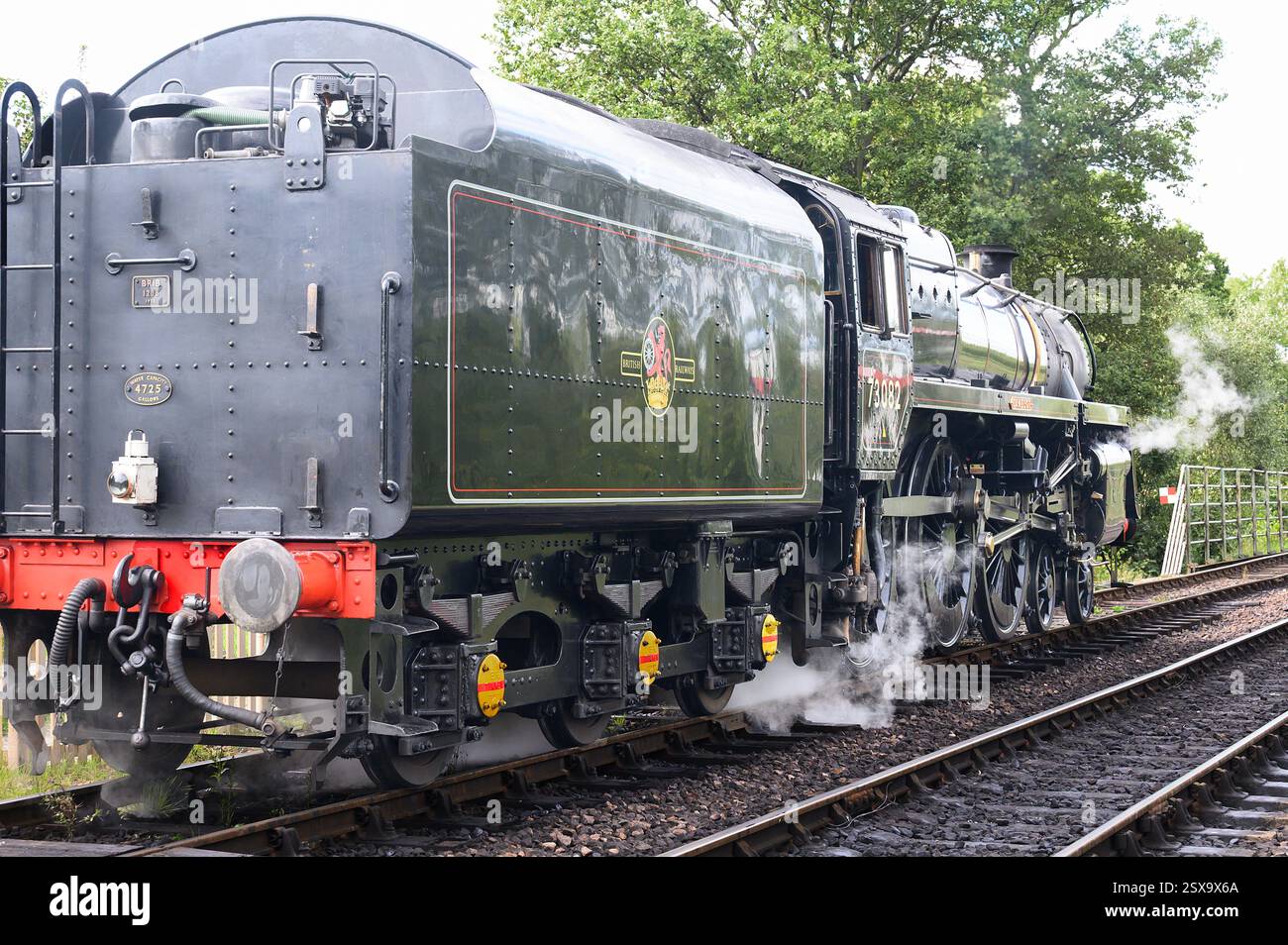 The Flying Scotsman on its centenary tour on the Bluebell line Stock ...