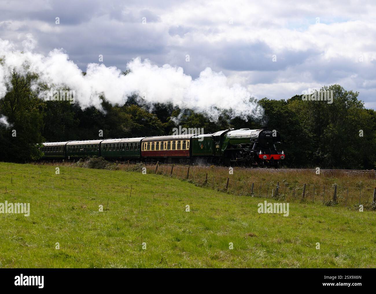 The Flying Scotsman on its centenary tour on the Bluebell line Stock ...