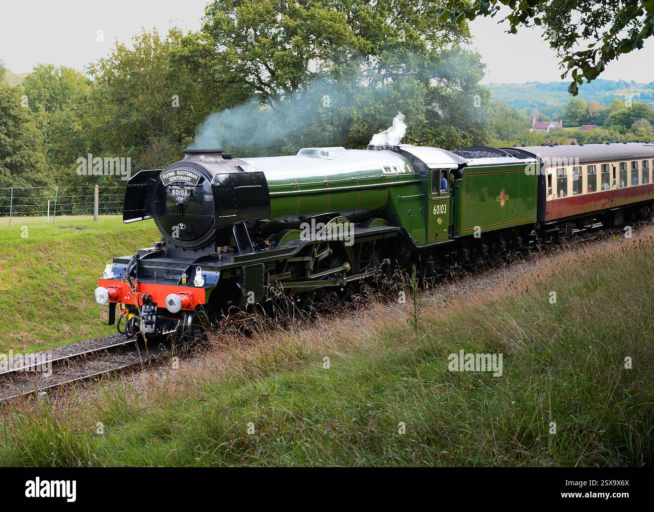 The Flying Scotsman on its centenary tour on the Bluebell line Stock ...