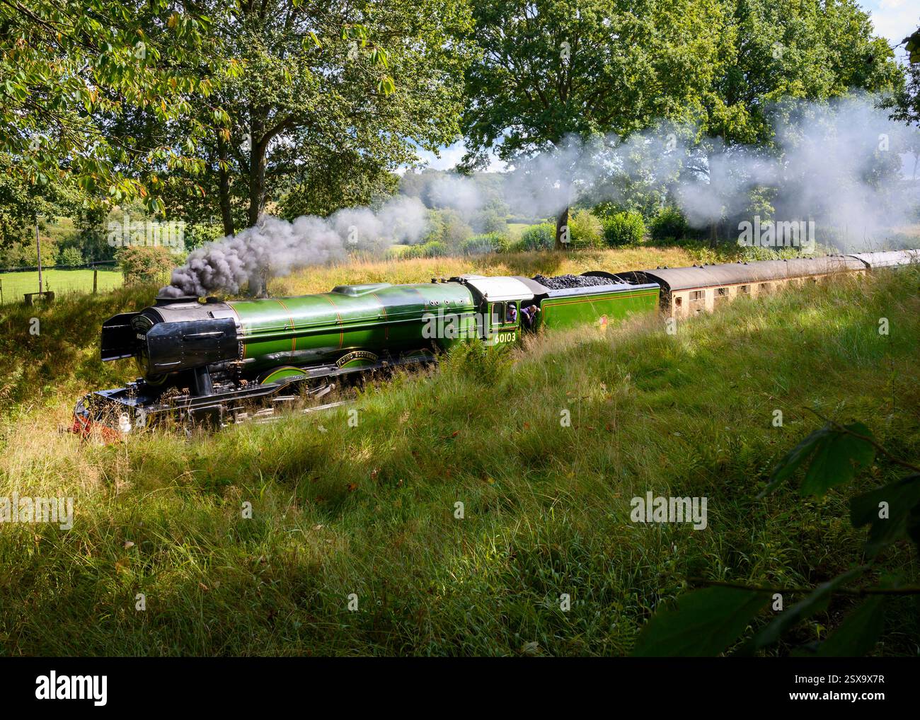 The Flying Scotsman on its centenary tour on the Bluebell line Stock ...