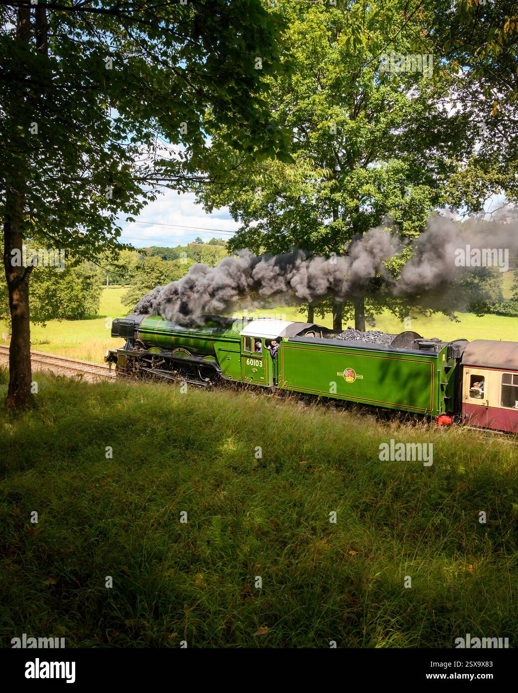 The Flying Scotsman on its centenary tour on the Bluebell line Stock ...