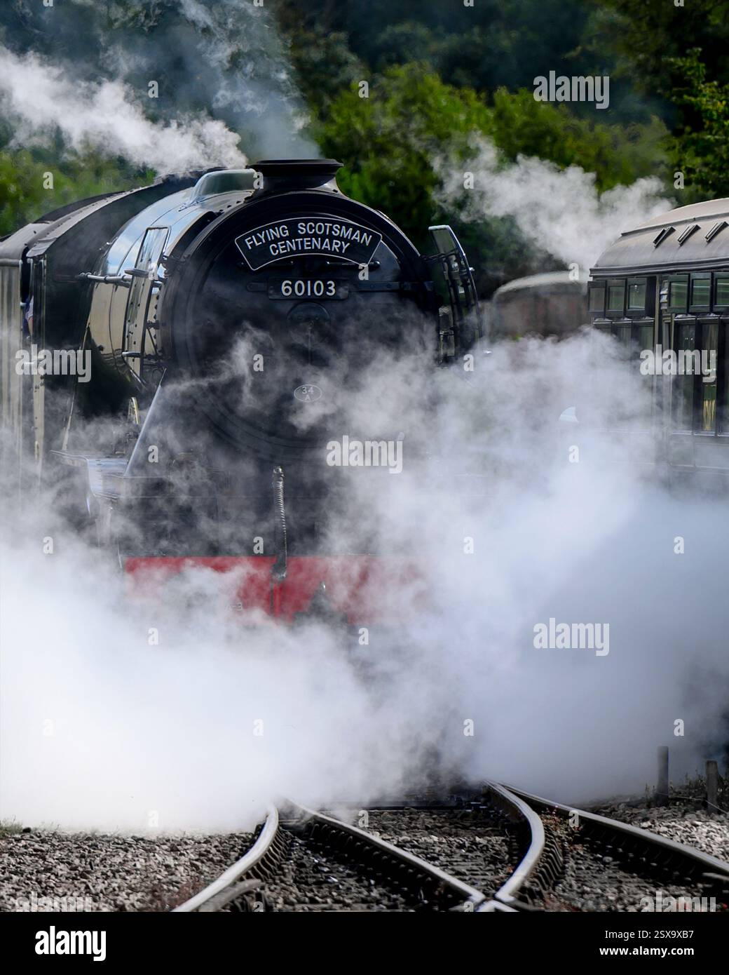 The Flying Scotsman on its centenary tour on the Bluebell line Stock ...