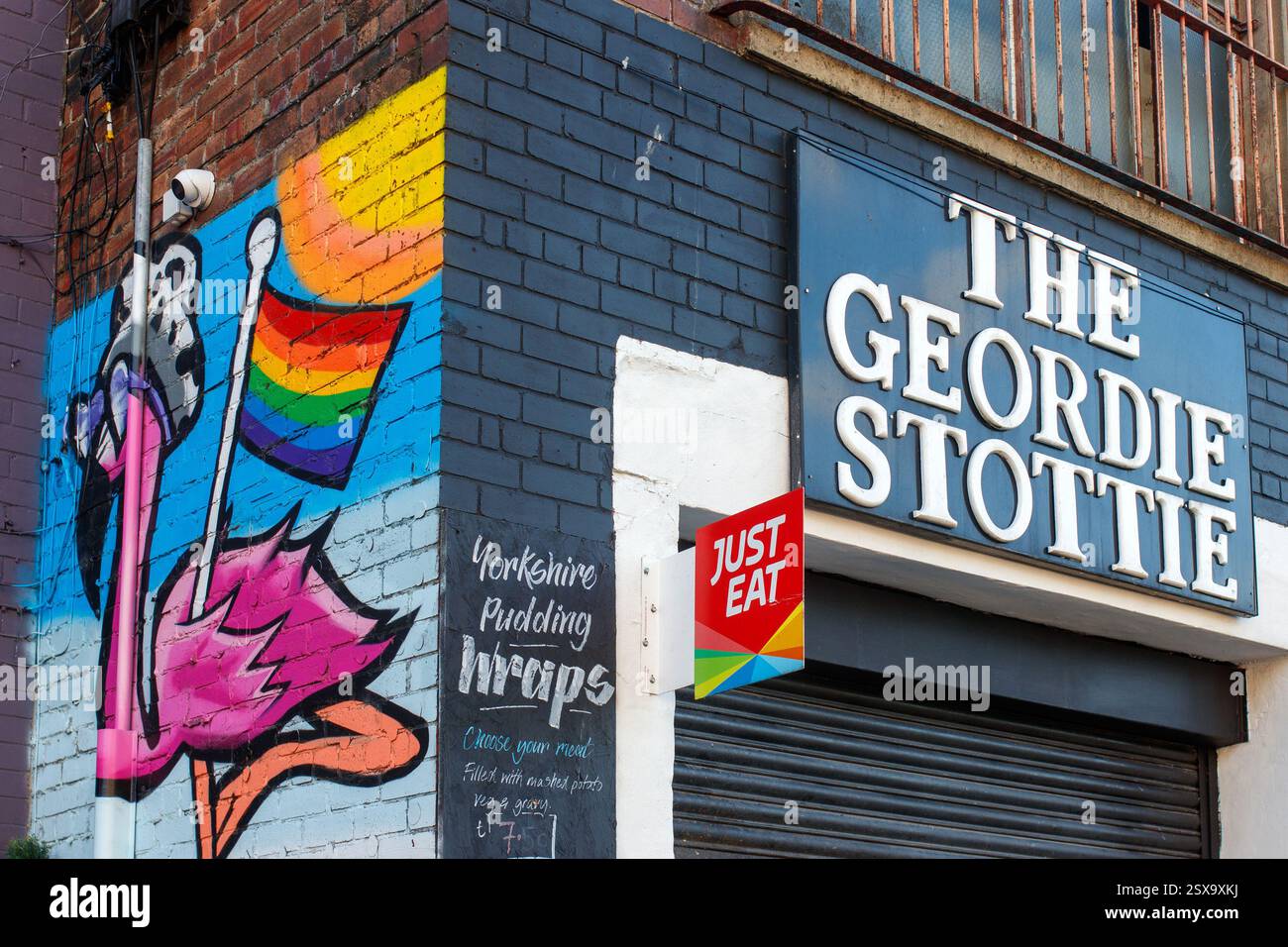 Street mural with rainbow pride flag and pink flamingo beside the ...
