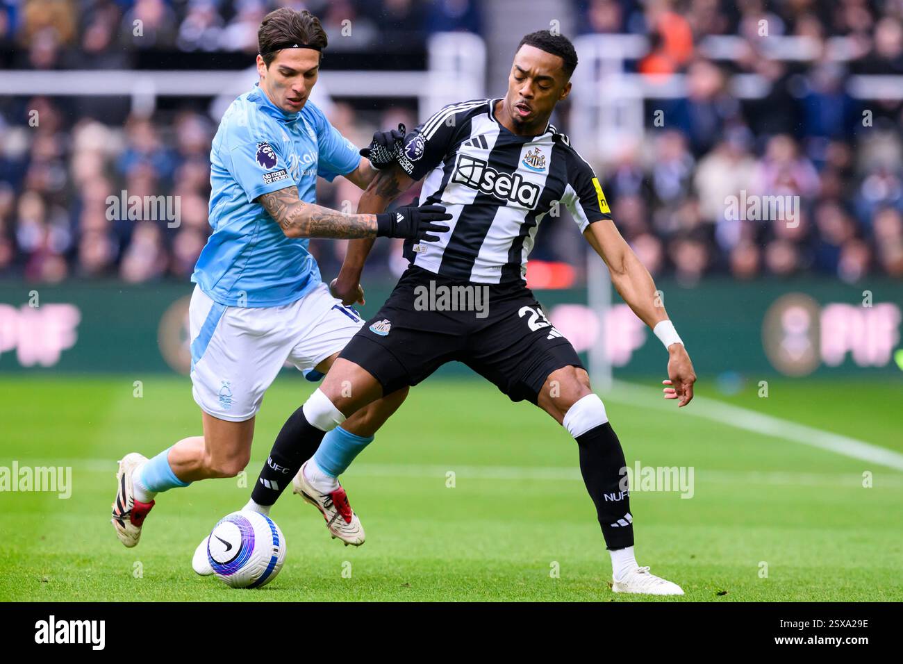 Newcastle Upon Tyne, UK. 23rd Feb, 2025. St. James' Park NEWCASTLE ...