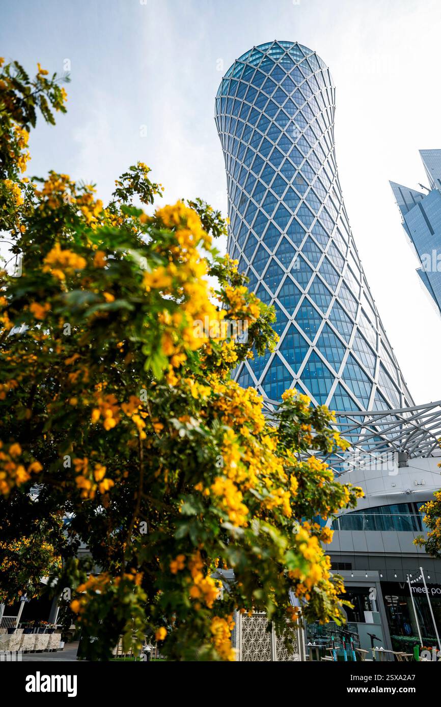 Illustration of Al Dafna ahead of the Qatar 1812 KM, 1st round of the ...