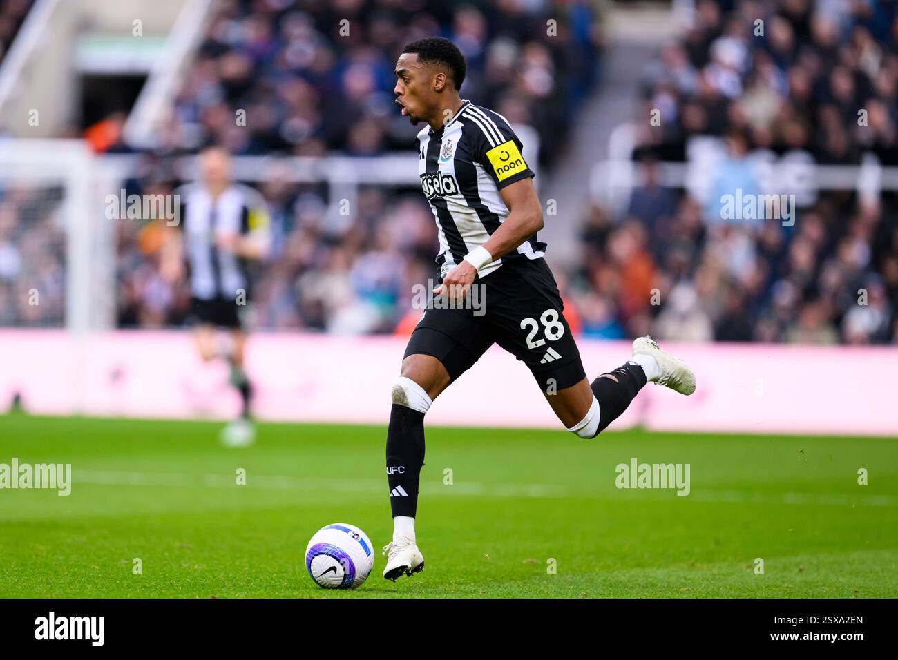 Newcastle Upon Tyne, UK. 23rd Feb, 2025. St. James' Park NEWCASTLE ...