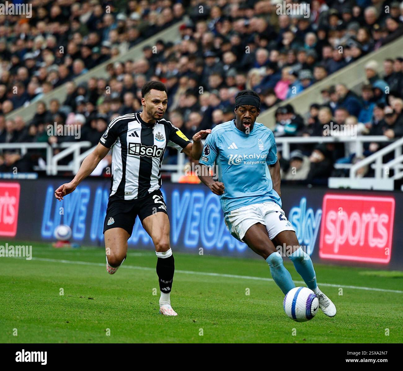 Newcastle, UK. 23rd February 2025; St James' Park, Newcastle, England ...
