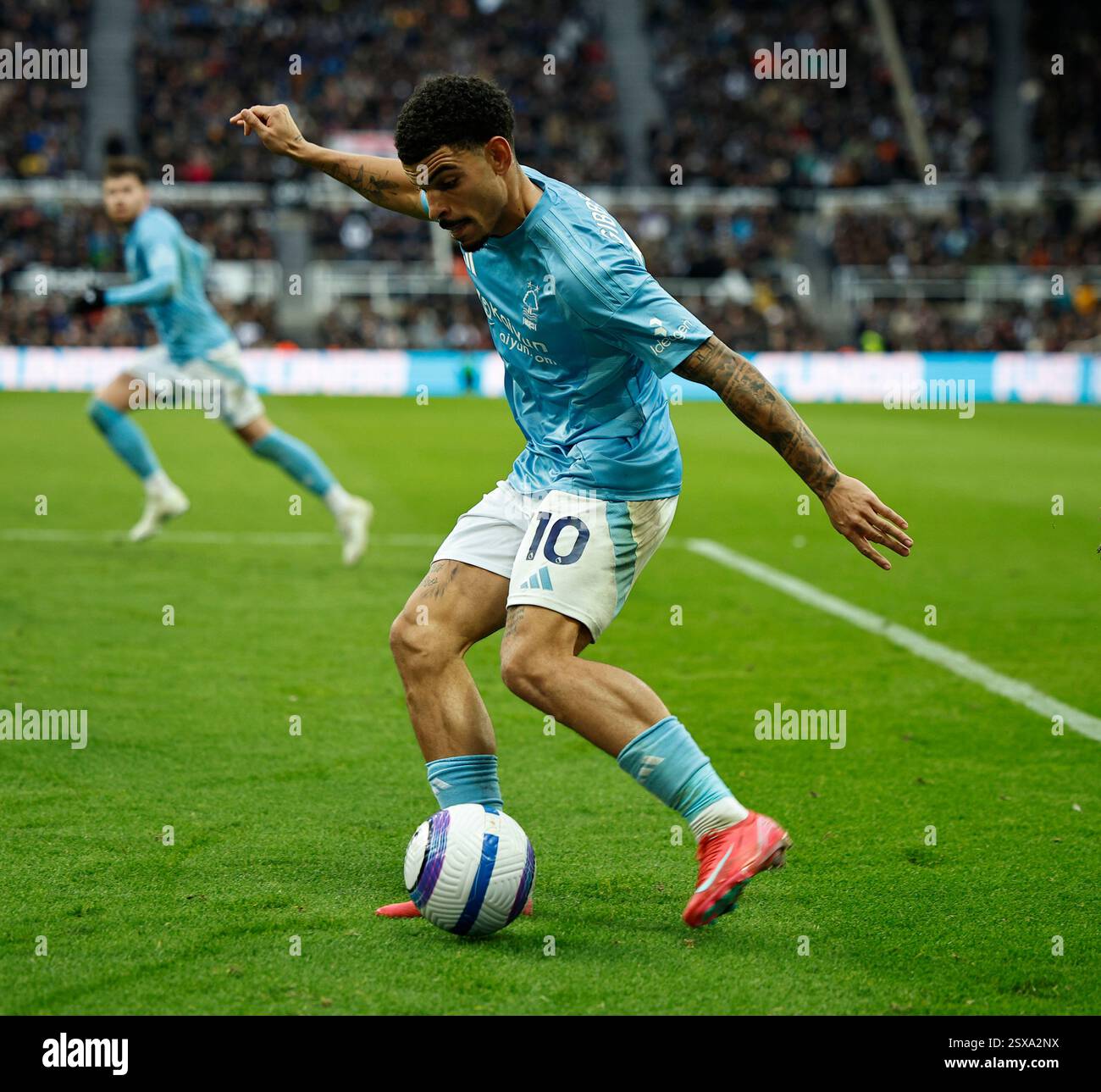 Newcastle, UK. 23rd February 2025; St James' Park, Newcastle, England ...