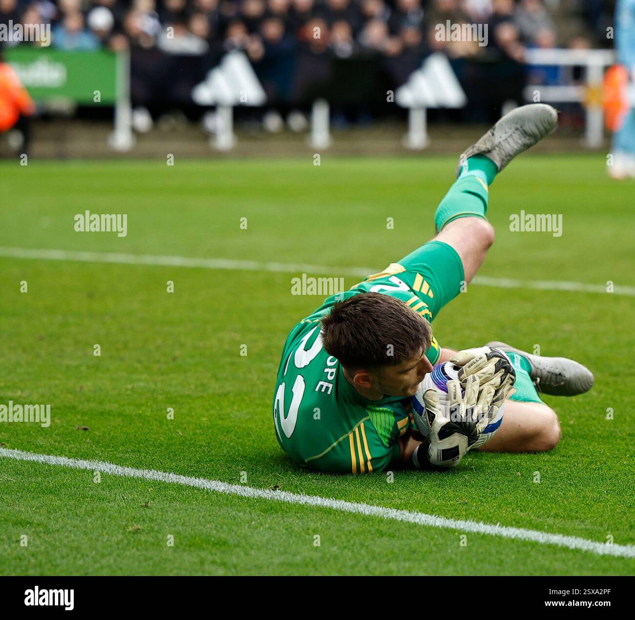 Newcastle, UK. 23rd February 2025; St James' Park, Newcastle, England ...
