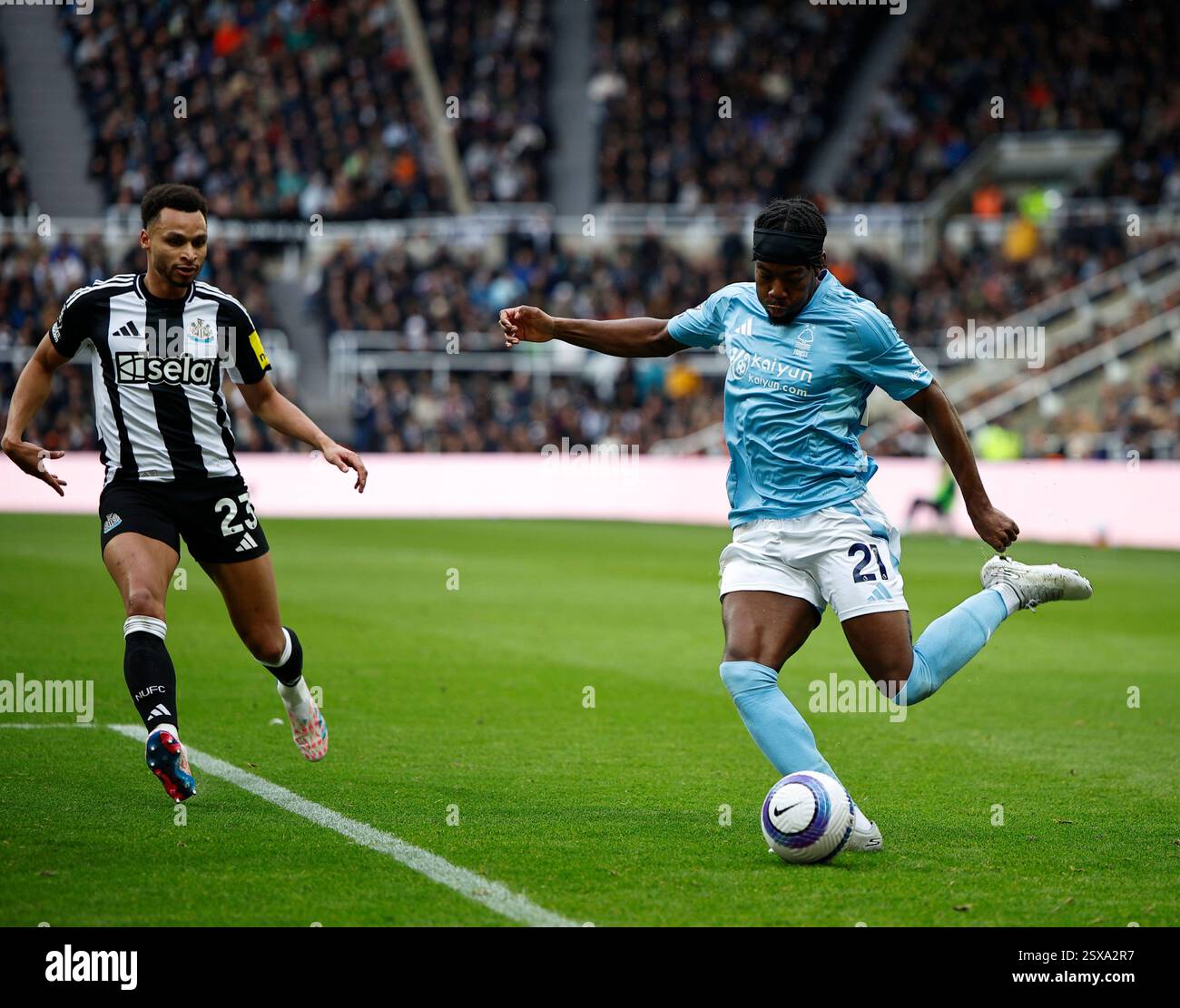 Newcastle, UK. 23rd February 2025; St James' Park, Newcastle, England ...