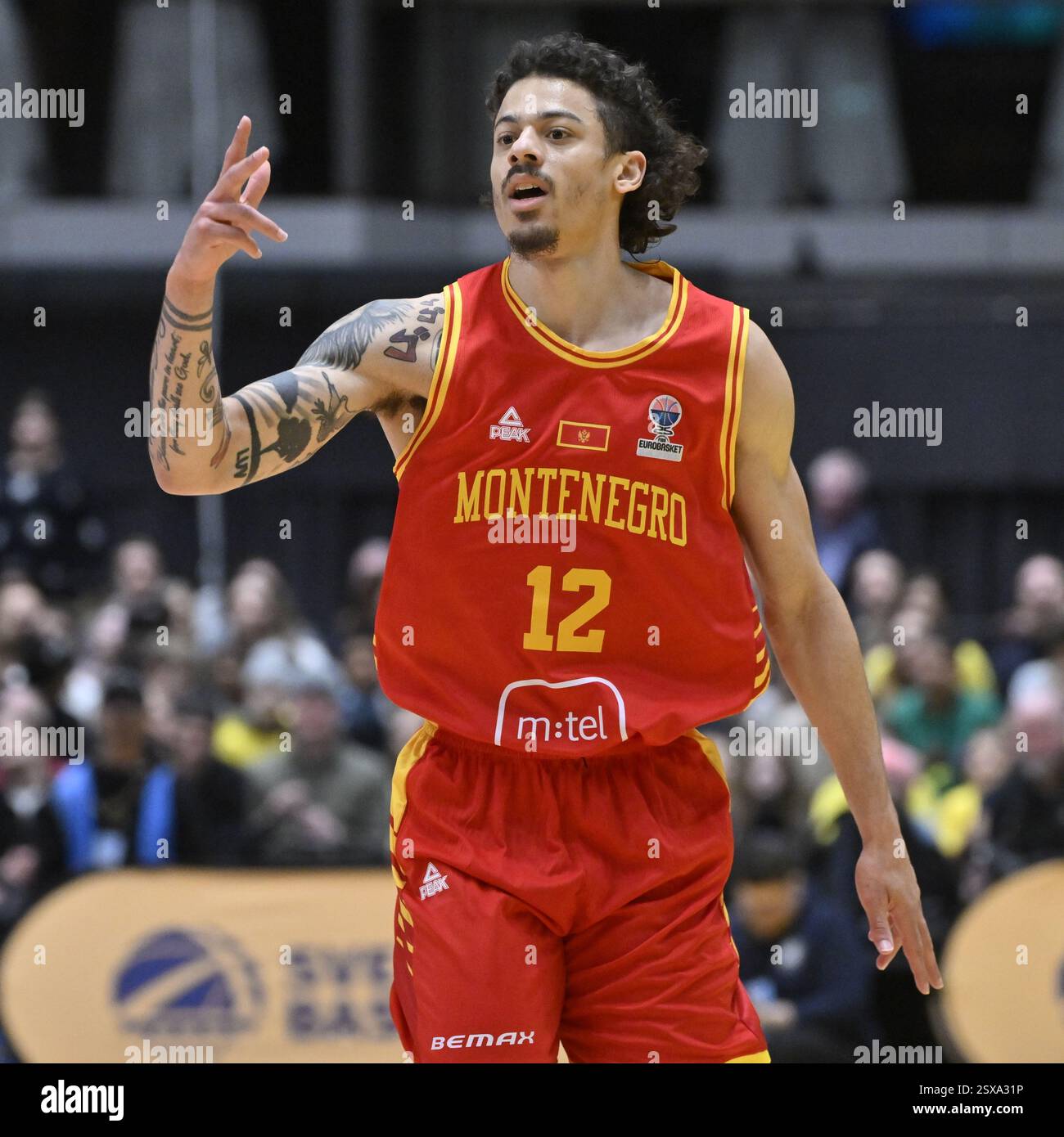 STOCKHOLM, SWEDEN 20250223Sweden's Ludvig Håkanson against Montenegro's ...