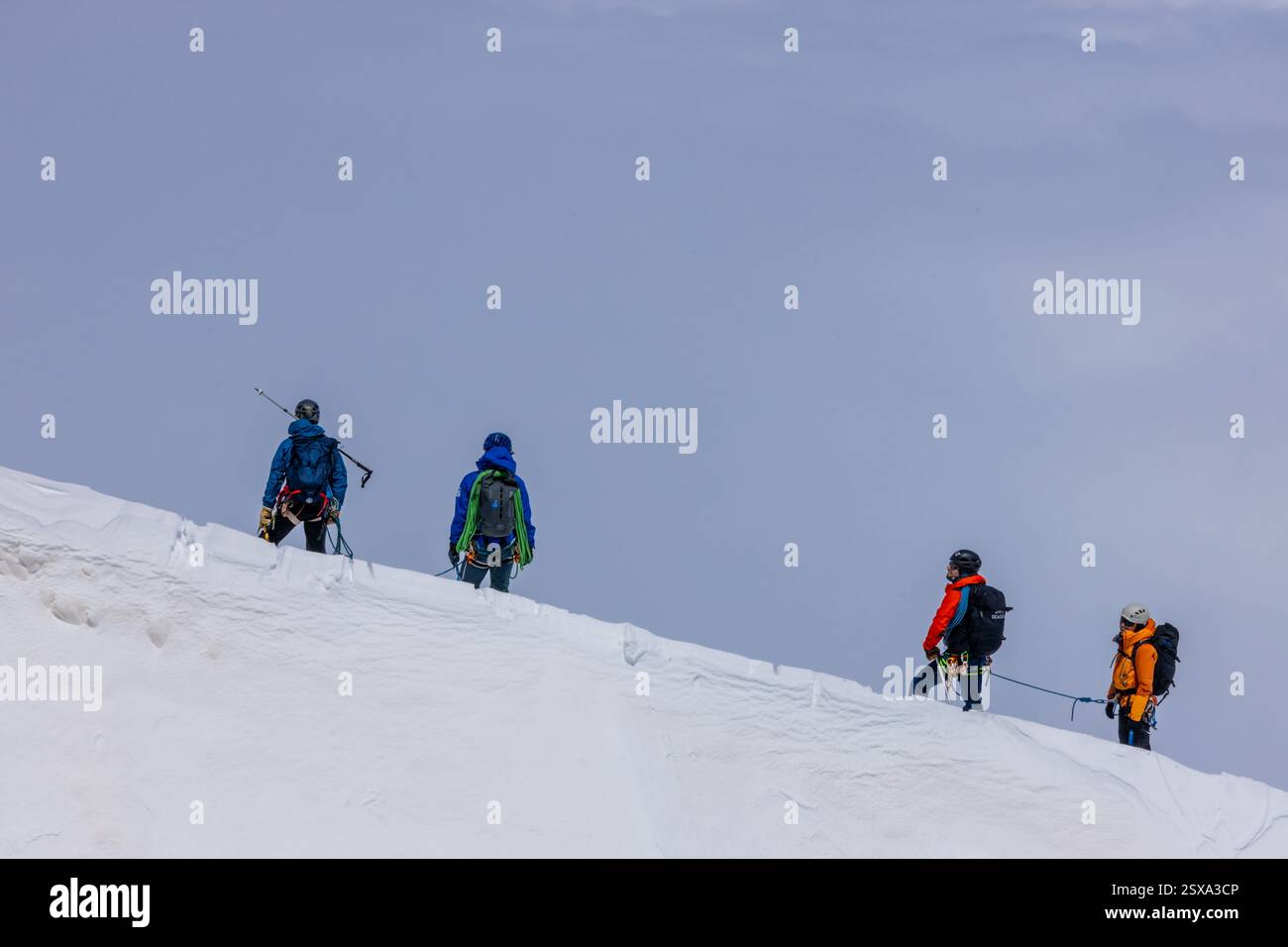 Alpine climbers rope team on a glacier in Chamonix valley training the ...