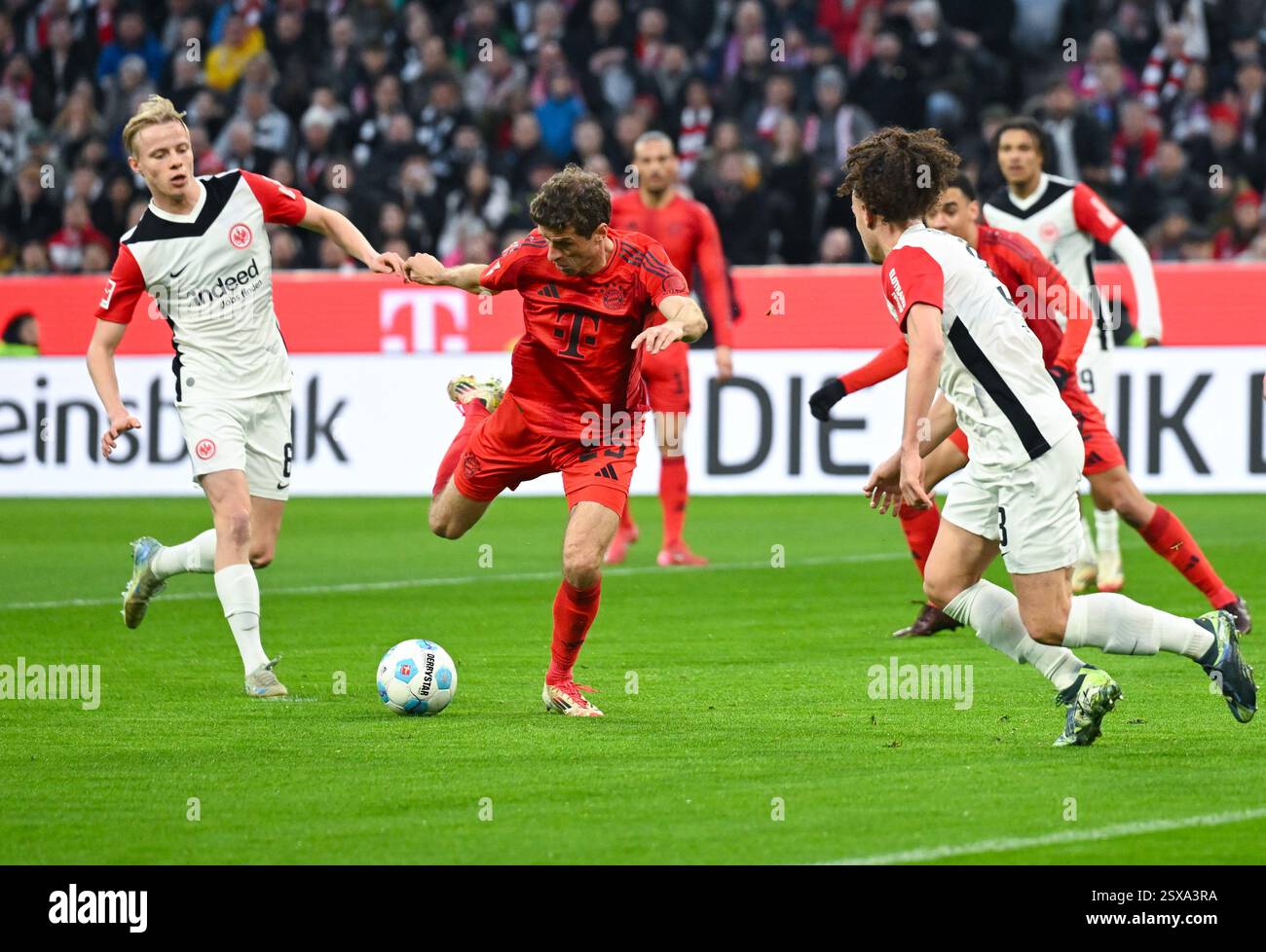 23 February 2025, Bavaria, Munich: Soccer: Bundesliga, Bayern Munich ...