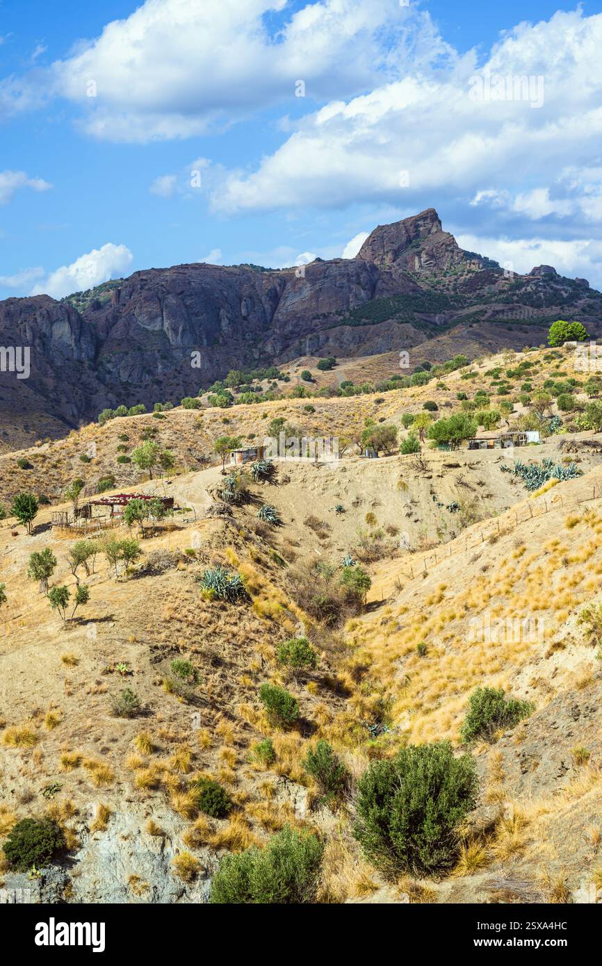 Olive groves and mountains around Ghost Town, Pentedattilo Village ...