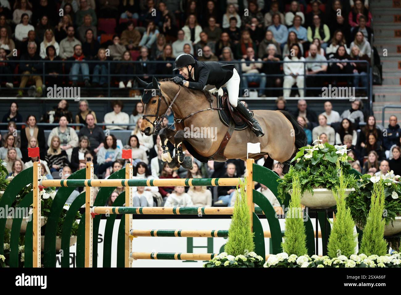 Maikel van der Vleuten of Netherlands with Beauville Z N.O.P. during ...