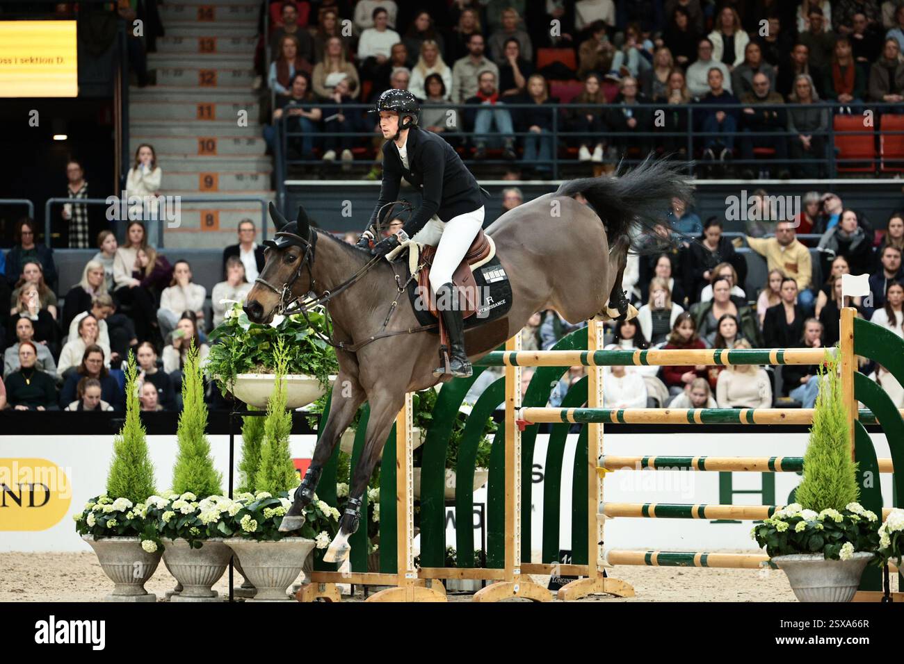 Gothenburg, Sweden. 23rd Feb, 2025. Martin Fuchs of Switzerland with ...