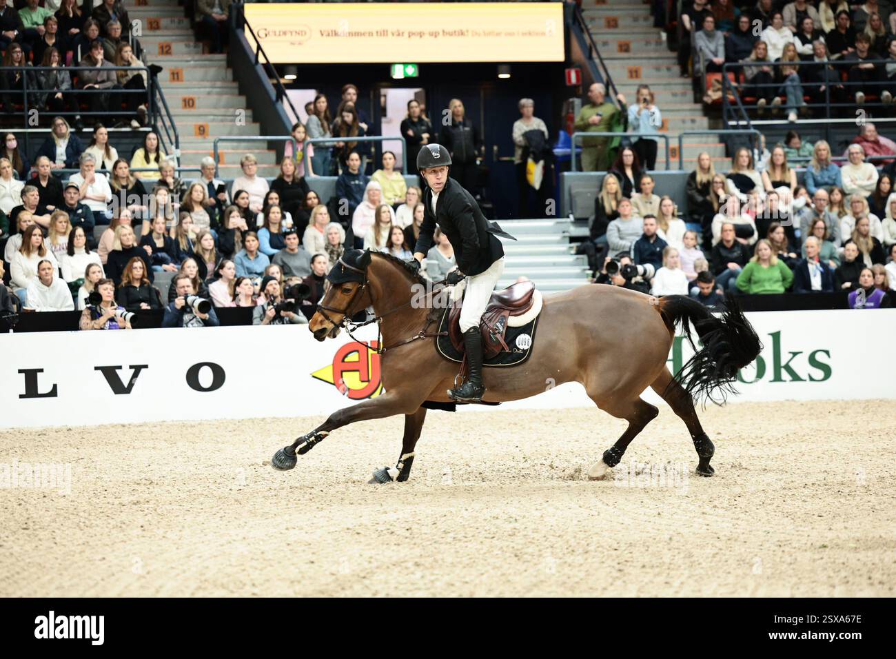 Maikel van der Vleuten of Netherlands with Beauville Z N.O.P. during the Longines FEI Jumping ...