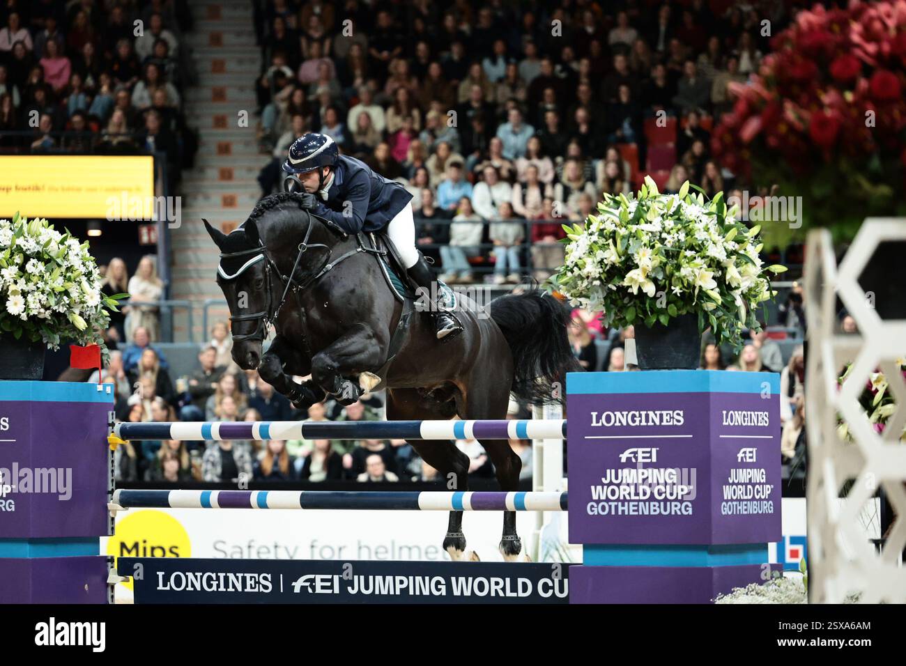 Robert Whitaker of United Kingdom with Vermento during the Longines FEI ...