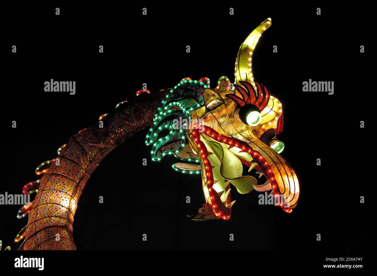 A flexible giant puppet made of bamboo and paper in shape of a dragon ...