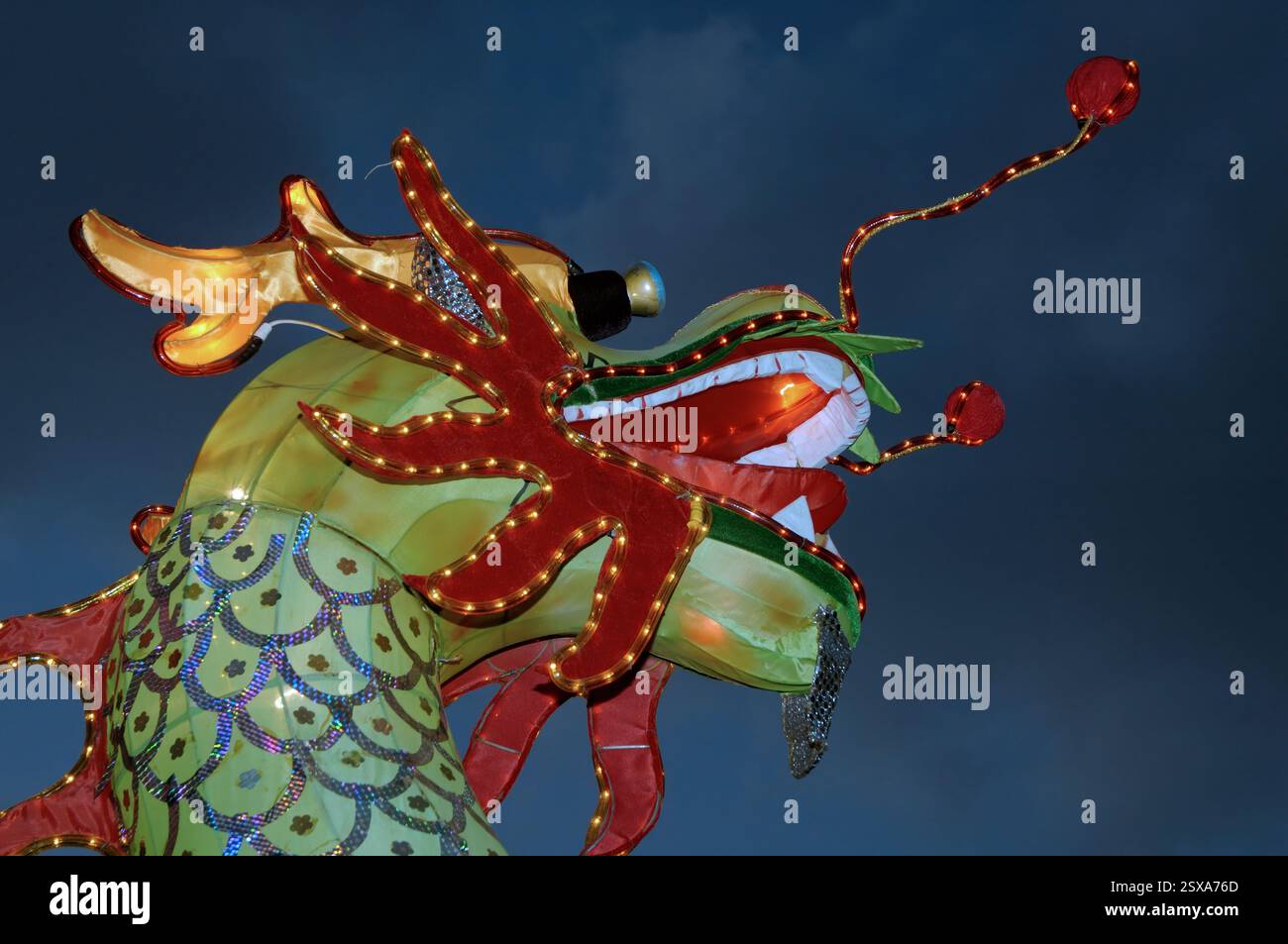 A flexible giant puppet made of bamboo and paper in shape of a dragon ...