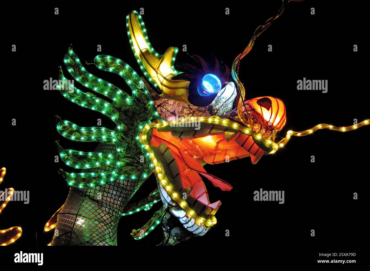 A flexible giant puppet made of bamboo and paper in shape of a dragon ...