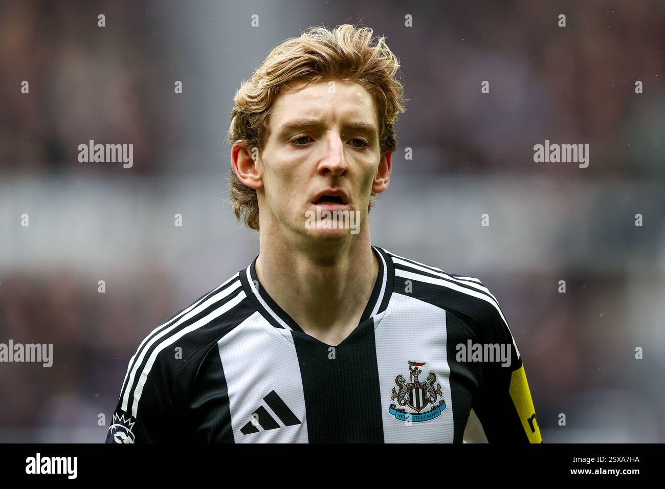 Newcastle, UK. 23rd Feb, 2025. Anthony Gordon of Newcastle United looks ...