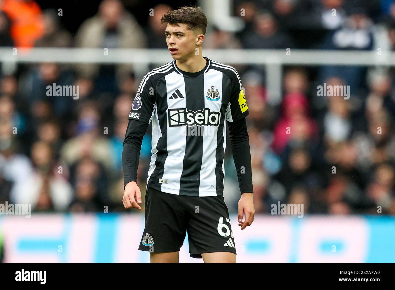 Newcastle, UK. 23rd Feb, 2025. Lewis Miley of Newcastle United looks on ...