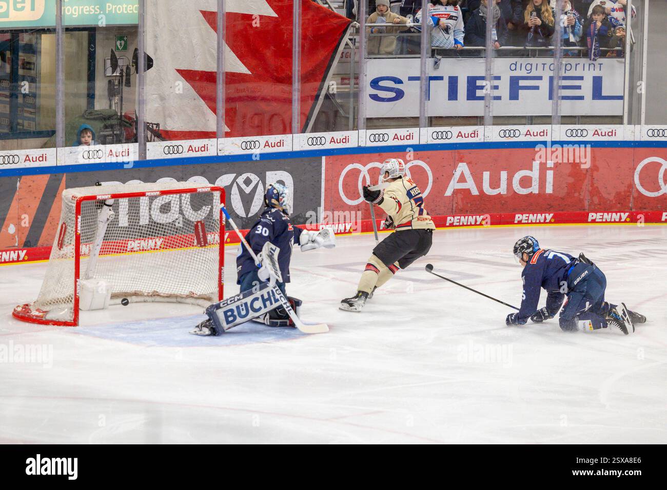 Ingolstadt, Deutschland 23. Februar 2025: Penny DEL - 2024/2025 - Sp.48 ...