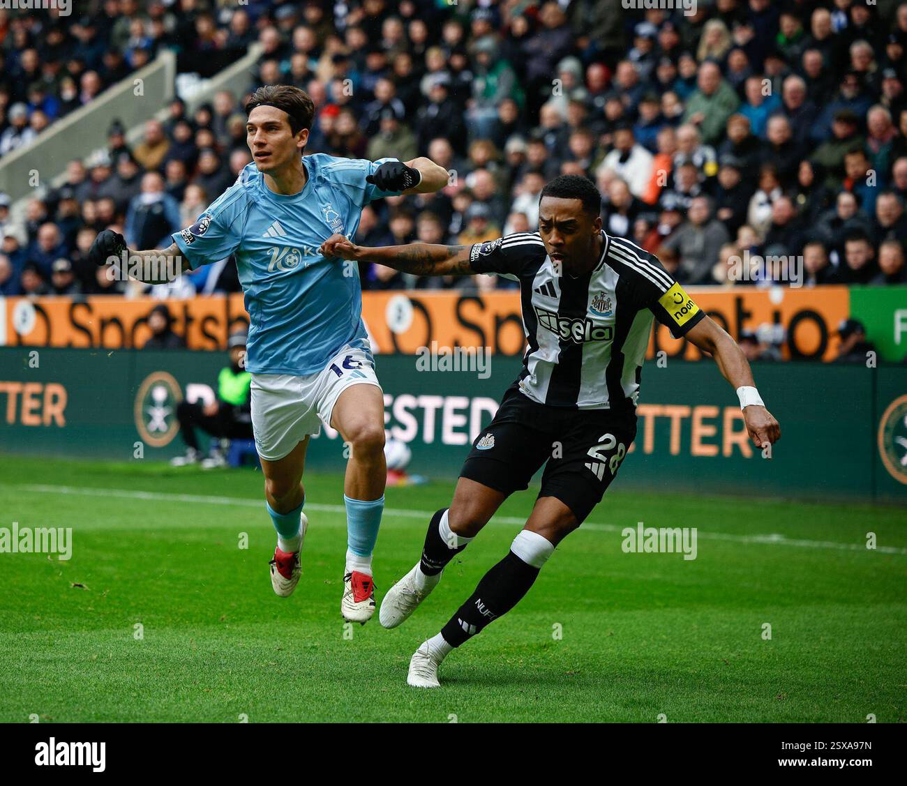 23rd February 2025; St James' Park, Newcastle, England; Premier League ...