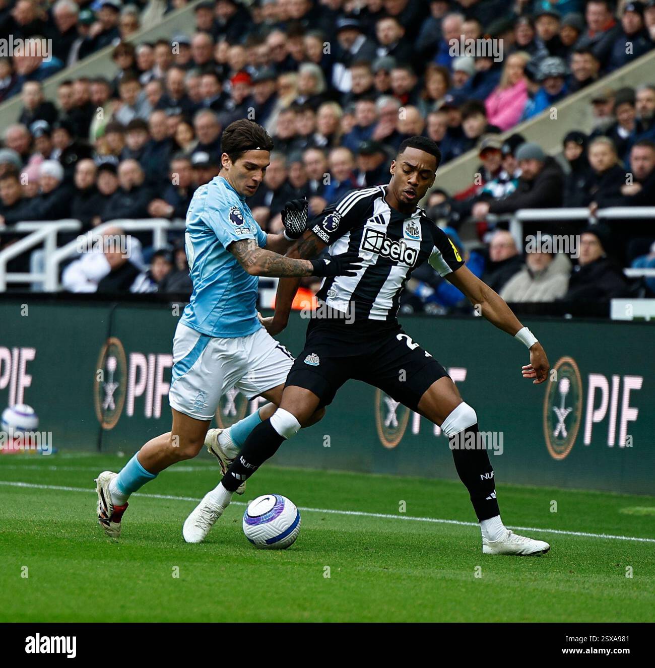 Newcastle, UK. 23rd February 2025; St James' Park, Newcastle, England ...