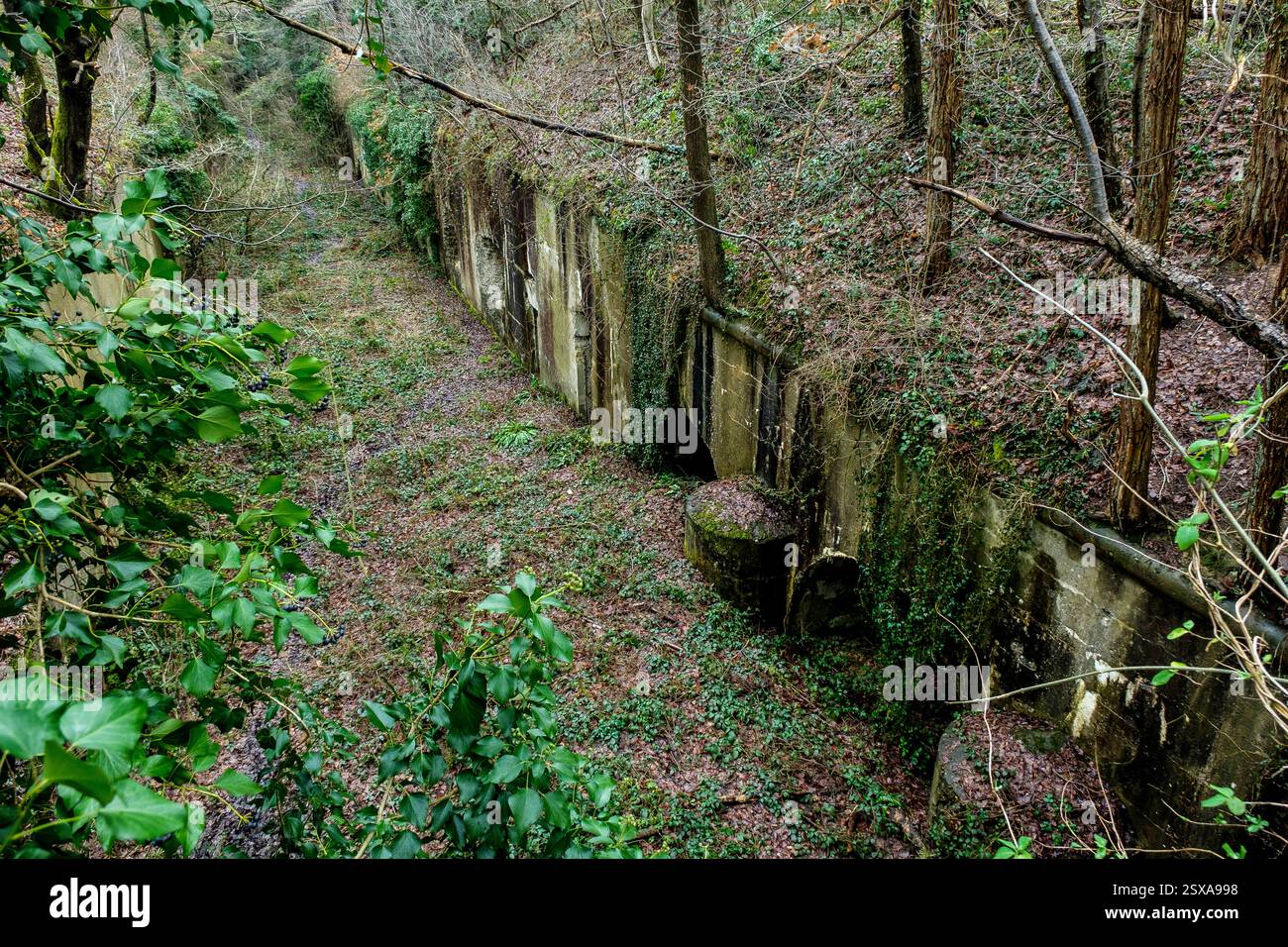 Fort de Malonne dans le bois de la Vecquée fait partie des neufs fort ...