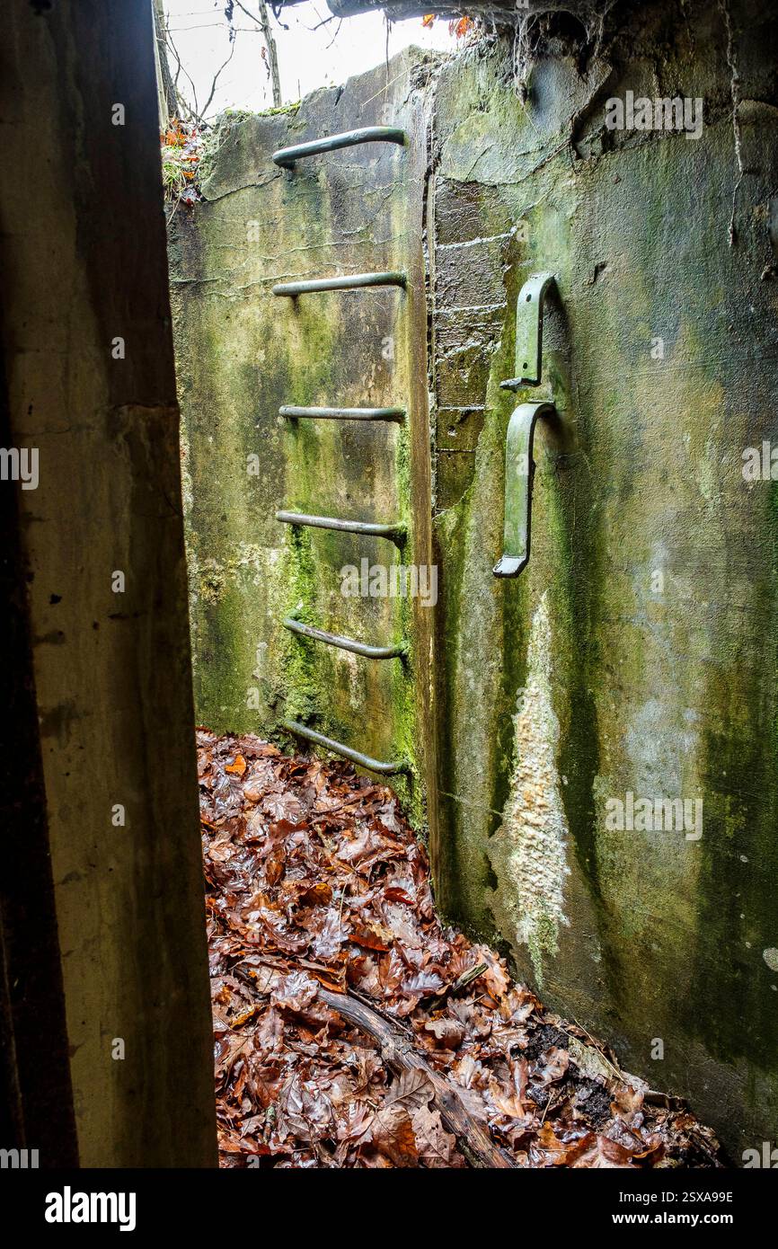 Fort de Malonne dans le bois de la Vecquée fait partie des neufs fort ...